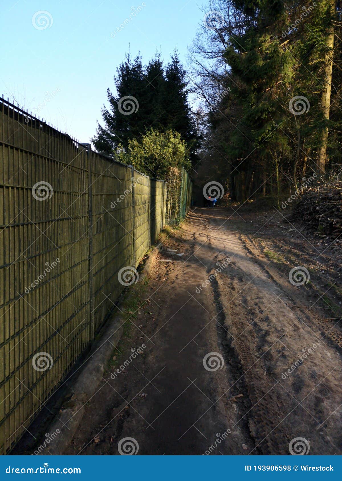 Vertical Shot of a Wall, Pathway, and Trees in a Forest Stock Photo ...