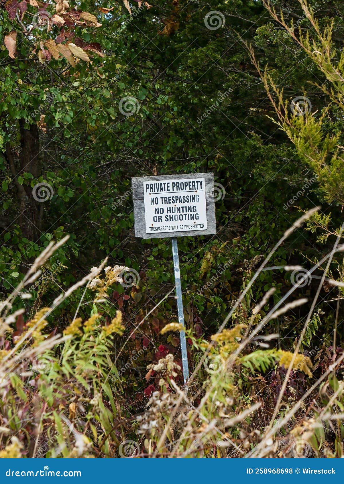 Vertical Shot of Warning Sign in the Forest Editorial Stock Photo ...