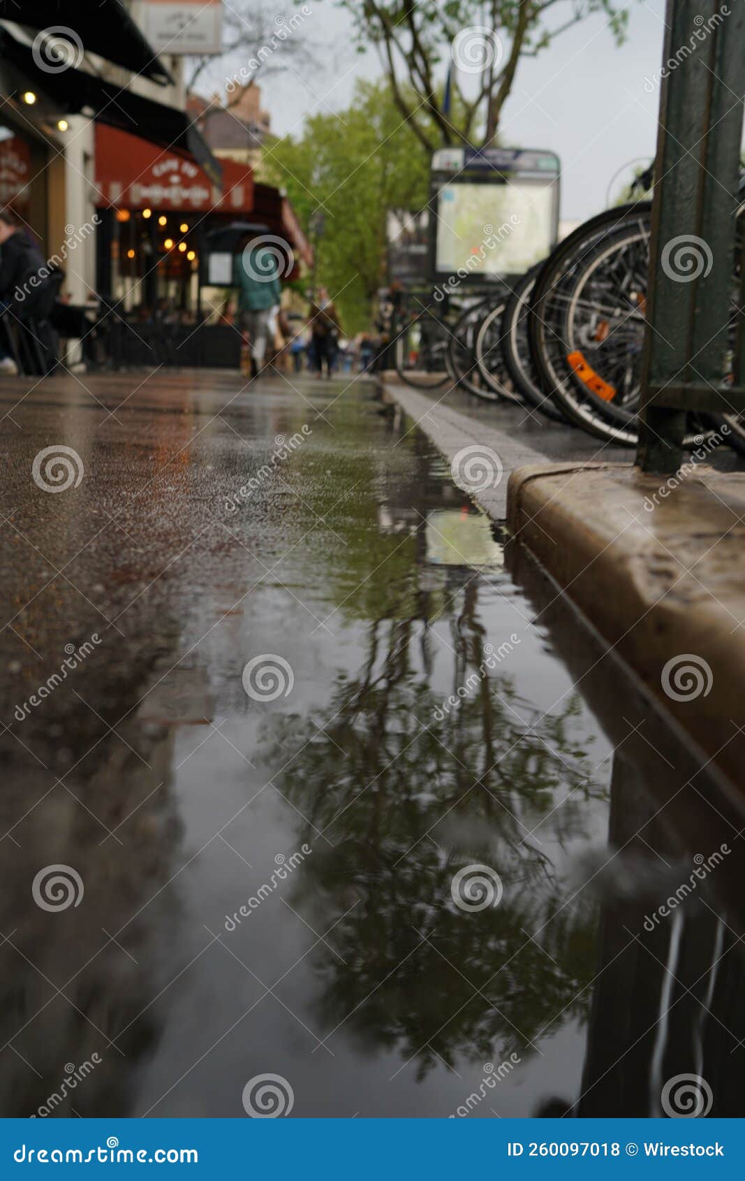 Vertical Shot of Water with the Reflection of Trees in the Street Stock ...