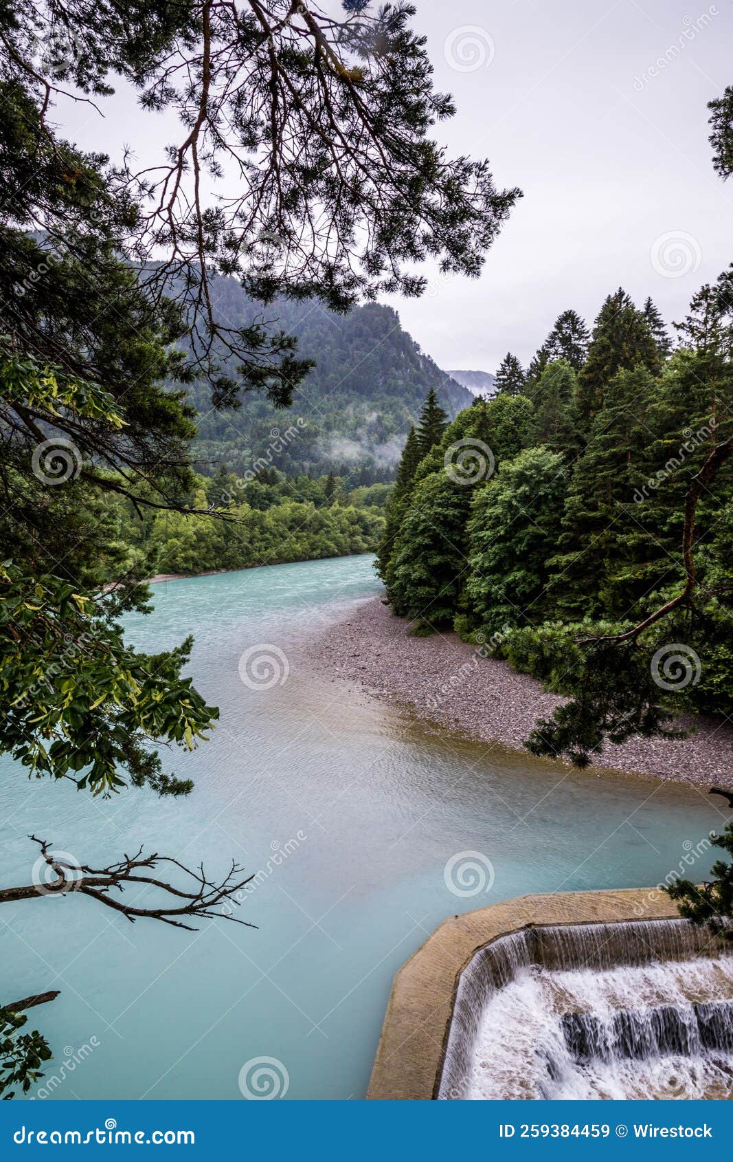 Vertical Shot of Water Stream with Greenery Stock Image - Image of ...