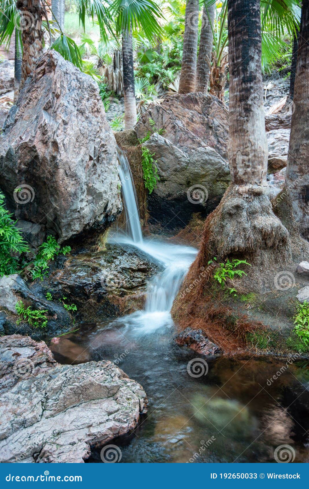 Mini Waterfalls In Ooty Stock Photo | CartoonDealer.com #121465524