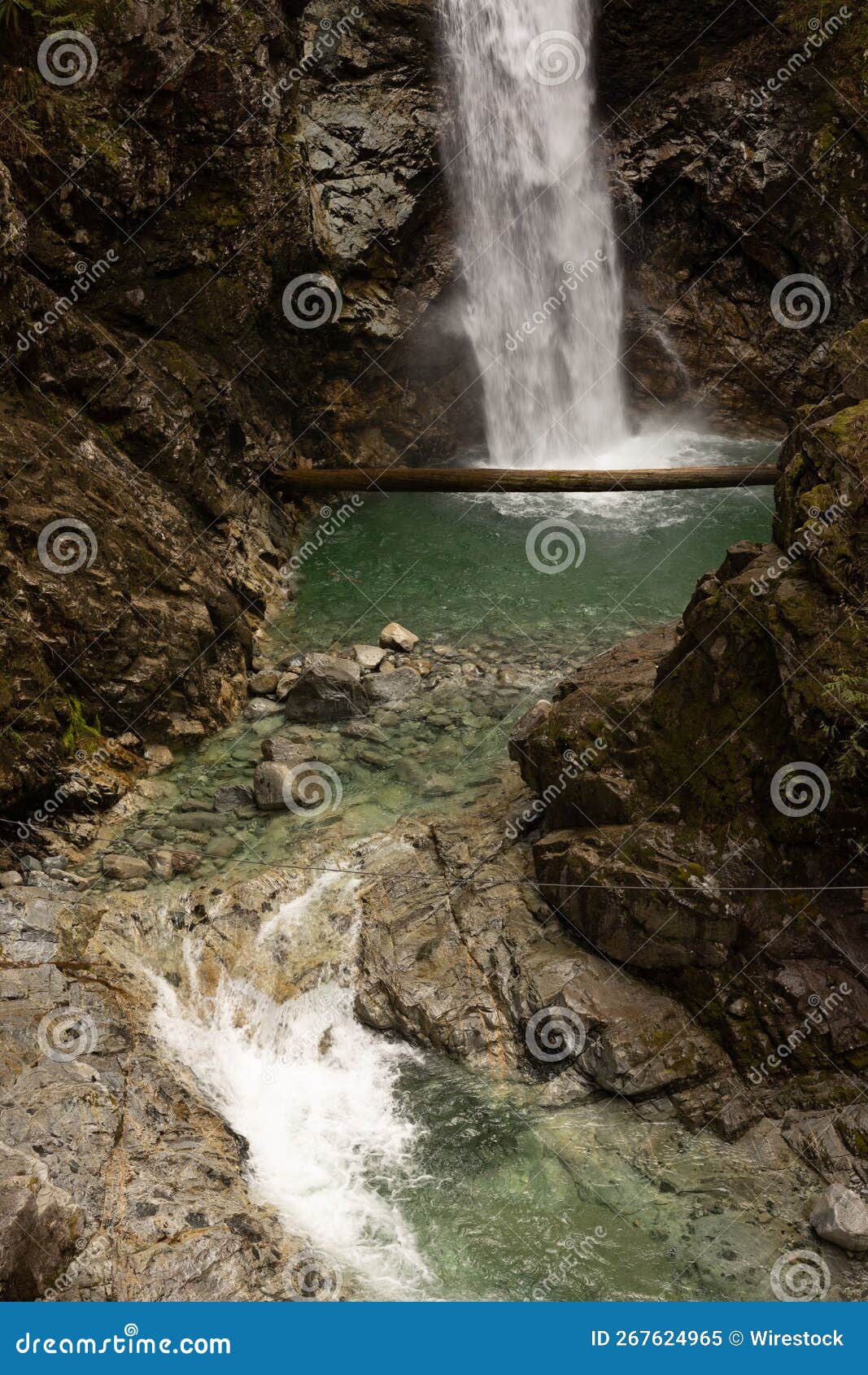 Vertical Shot of a Waterfall Cascading Down the Rocks in a Forest ...