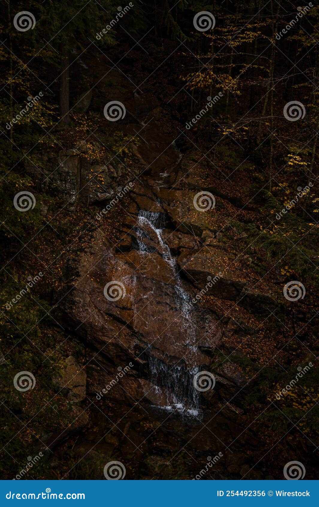 Vertical Shot of a Waterfall in a Cave in a Forest Stock Photo - Image ...