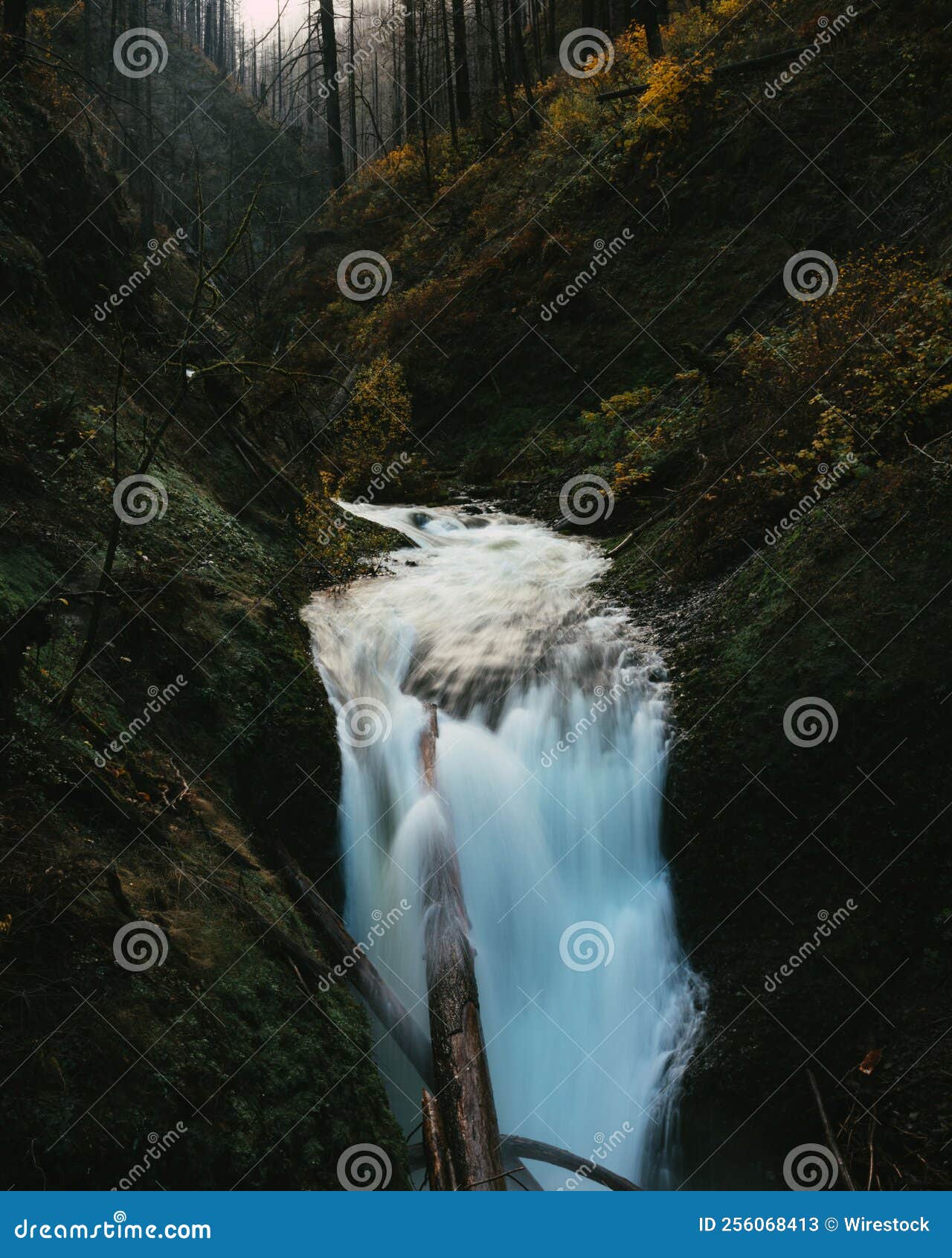 Vertical Shot of a Waterfall in the Deep Forest Stock Image - Image of ...