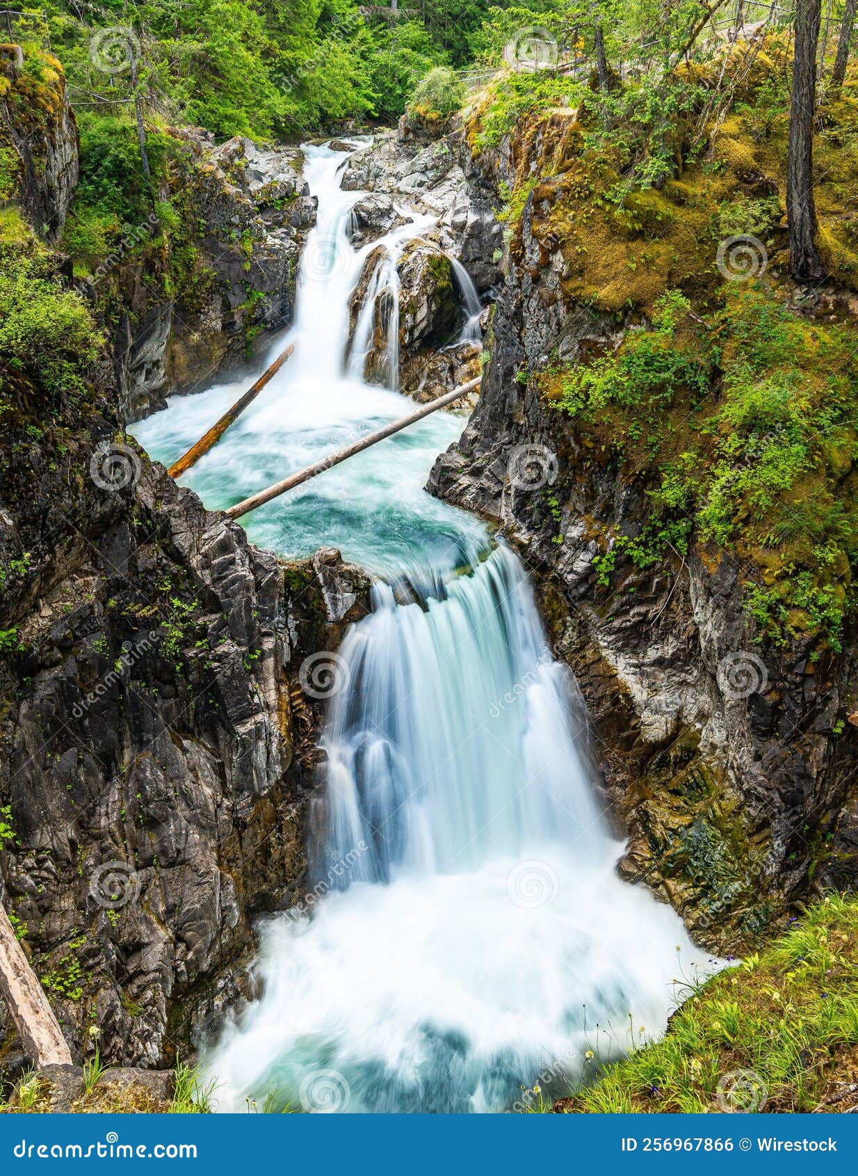 Vertical Shot of a Waterfall in Little Qualicum Falls Provincial Park ...