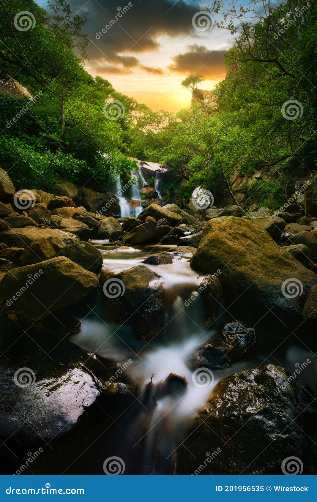 Vertical Shot of a Waterfall in Nature Stock Image - Image of forest ...