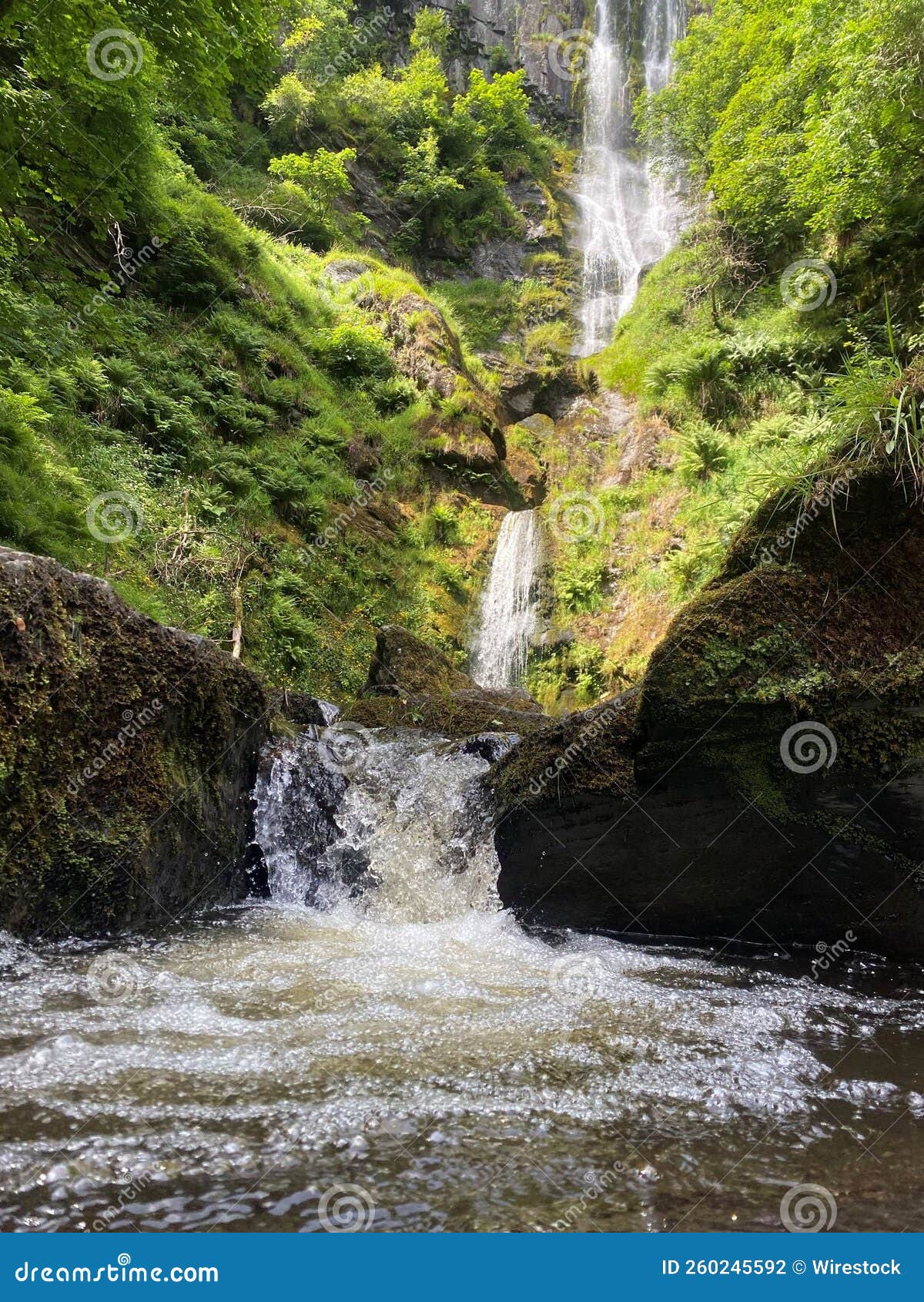 Vertical Shot of a Waterfall Surrounded by Vegetation and Big Rocks ...
