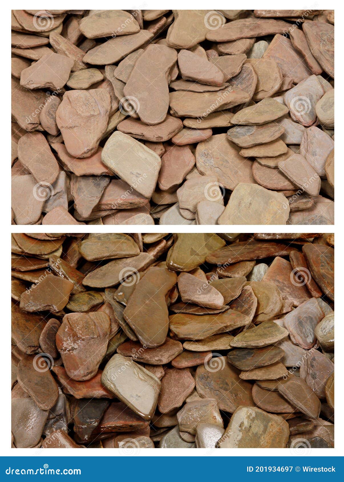 Vertical Shot of Wet and Dry Rocks Stock Image - Image of rock, nature ...