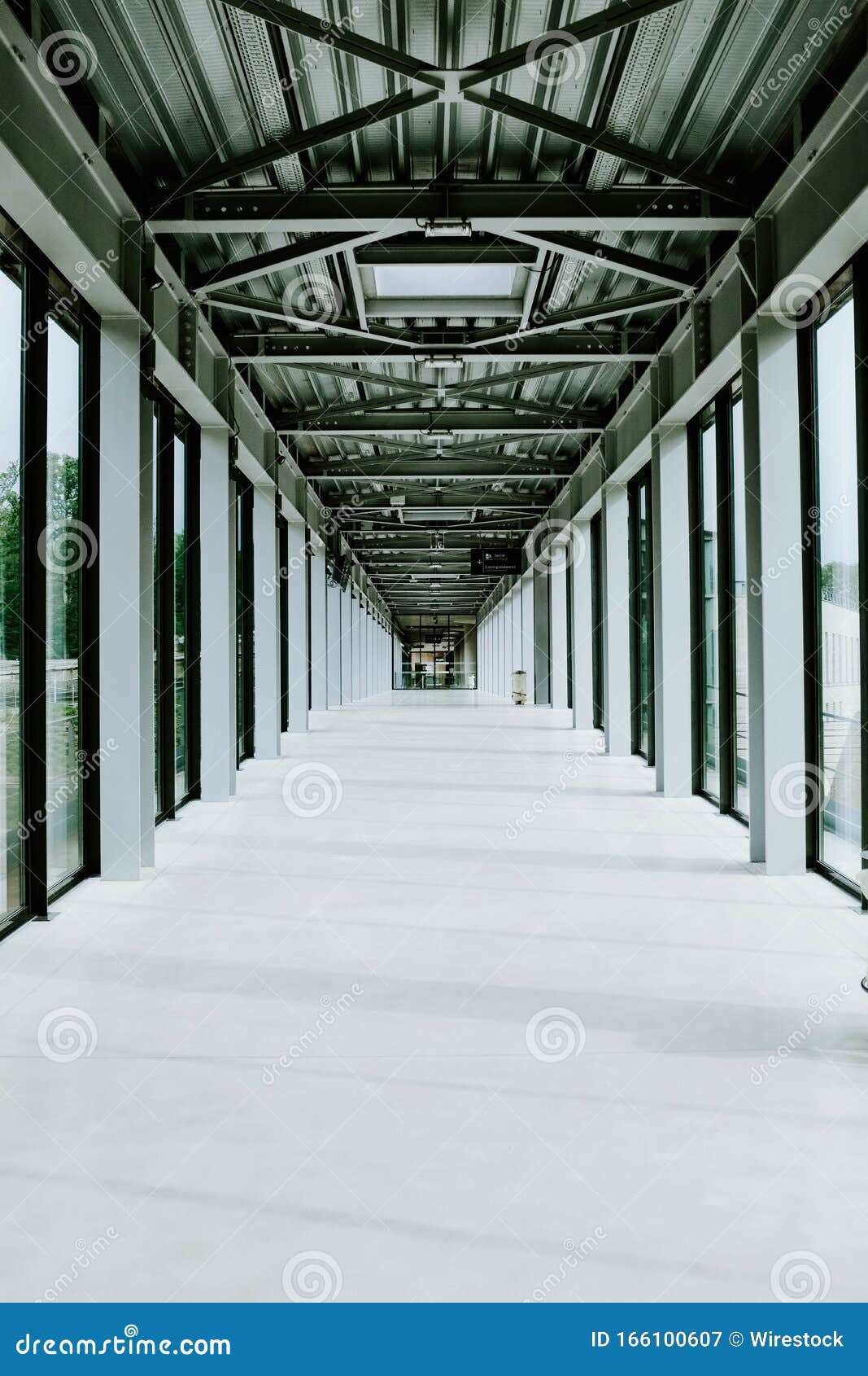 Vertical Shot of a White Hallway with Glass Doors and a Metal Ceiling ...