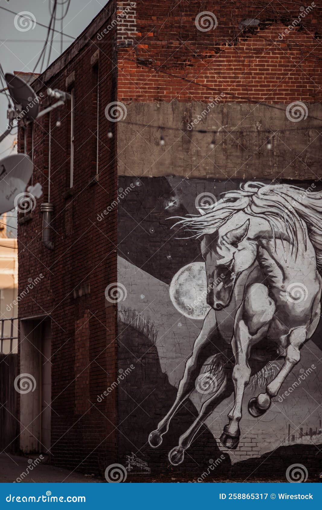 Vertical Shot of a White Horse Graffiti on a Building Editorial ...