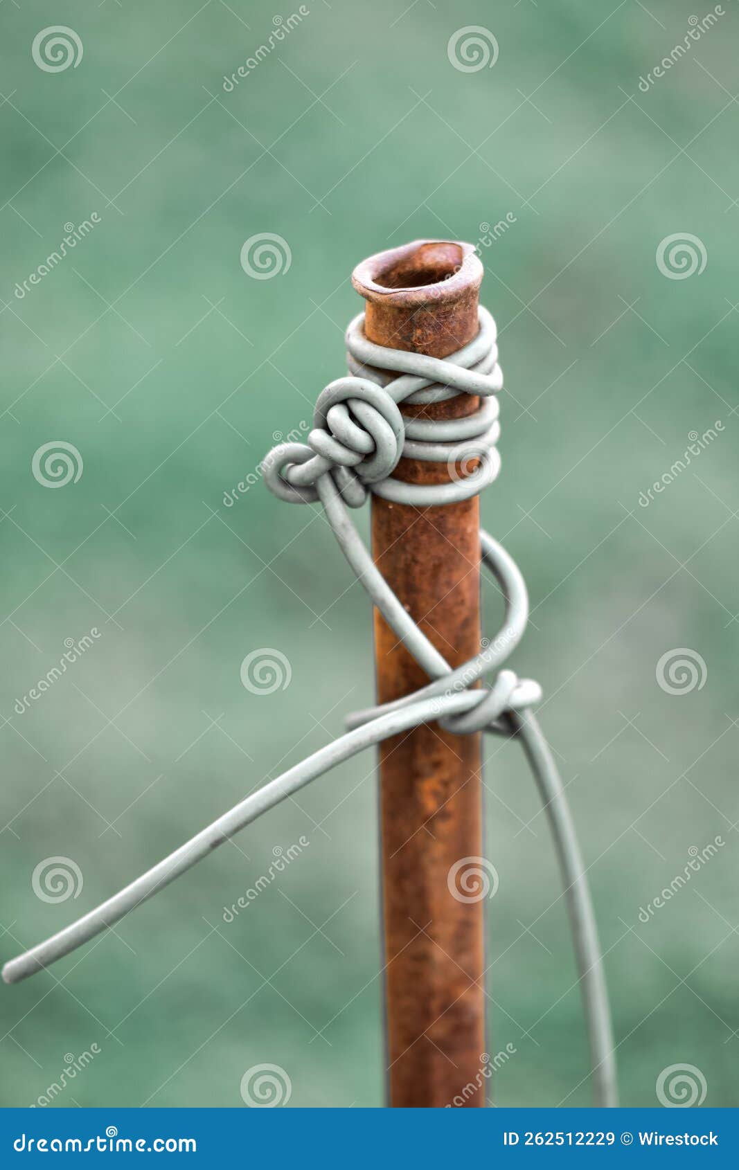 Vertical Shot of a White Wire Around in a Stick Stock Image - Image of ...