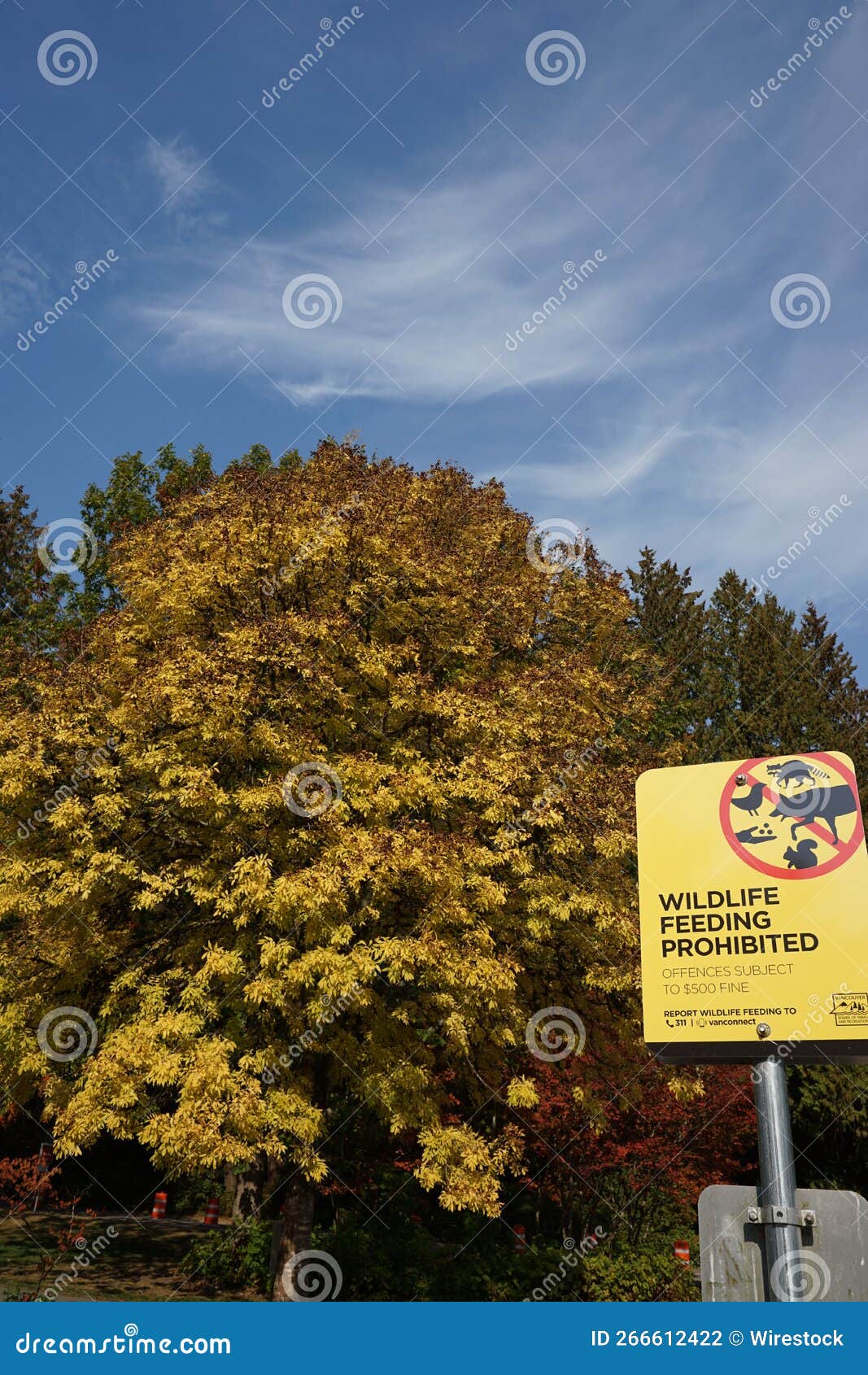 Vertical Shot of a Wildlife Feeding Prohibited Sign with a Dense Tree ...