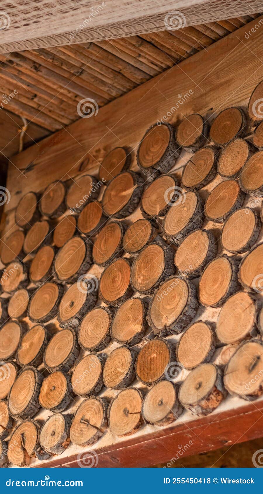 Vertical Shot of Wooden Round Tree Stumps on a Wall As Decoration Stock ...