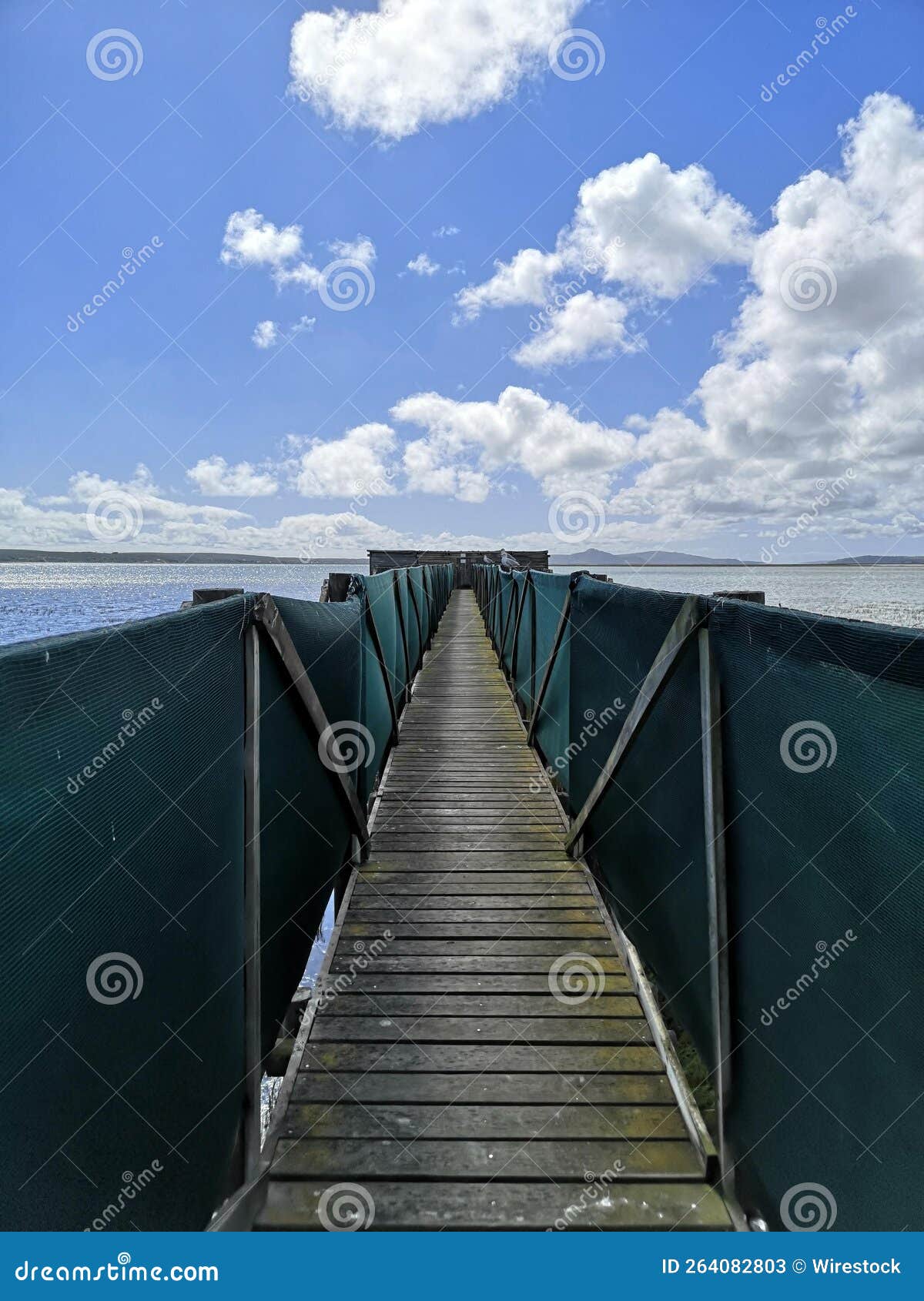 Vertical Shot of a Wooden Walkway at the Shore Stock Image - Image of ...