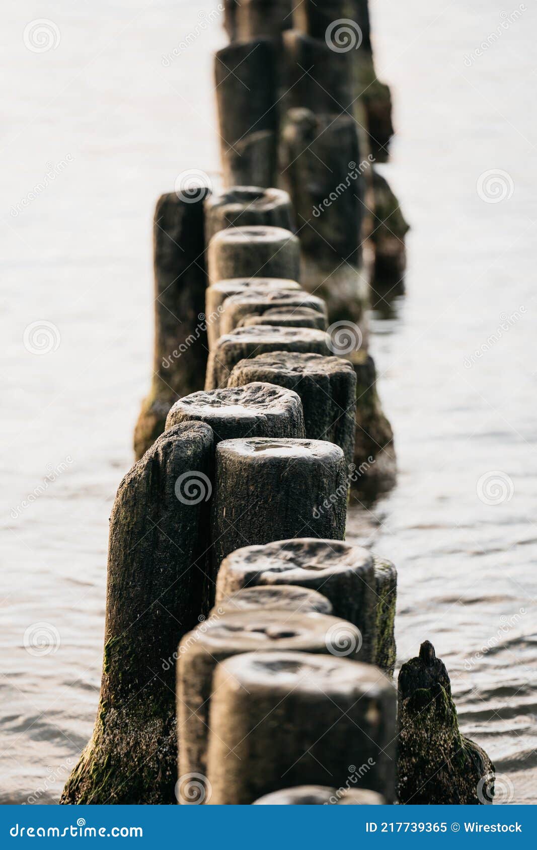 Vertical Shot of Wooden Wave Breakers on a Coast of the Baltic Sea ...