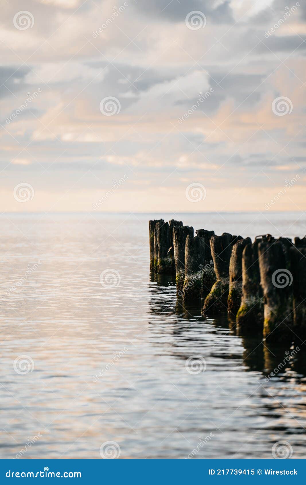 Vertical Shot of Wooden Wave Breakers on a Coast of the Baltic Sea ...