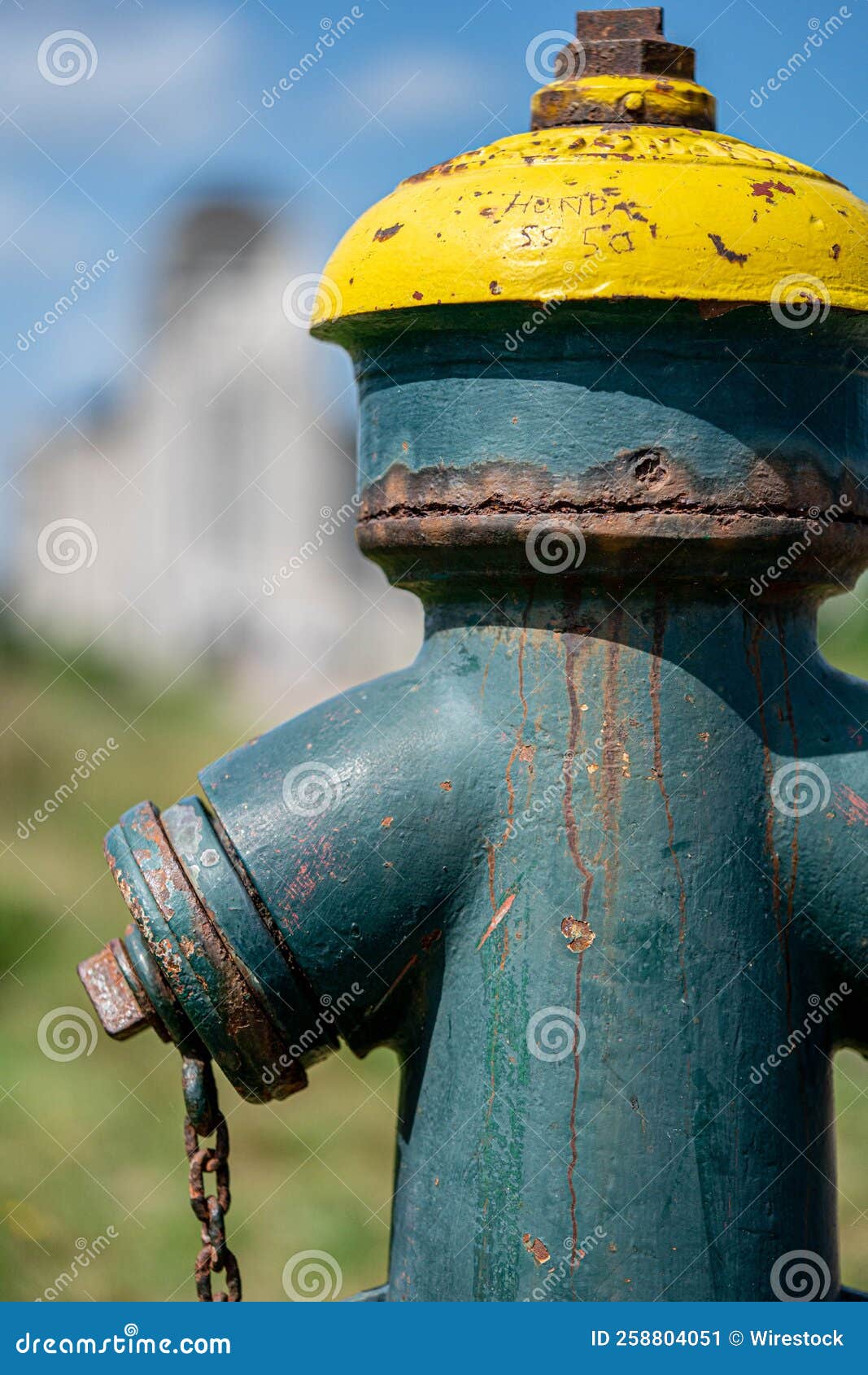 Vertical Shot of a Yellow and Blue Hydrant Outdoors Stock Image - Image ...