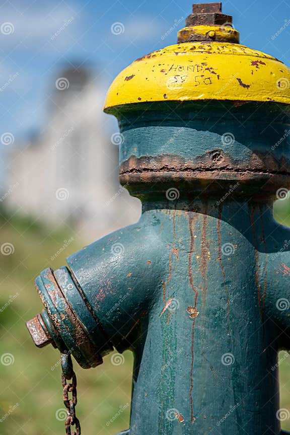 Vertical Shot of a Yellow and Blue Hydrant Outdoors Stock Image - Image ...