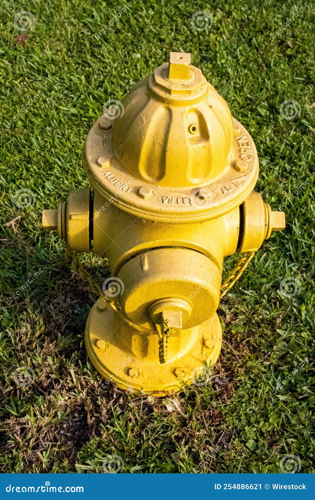 Vertical Shot of a Yellow Fire Hydrant Surrounded by Grass-covered ...
