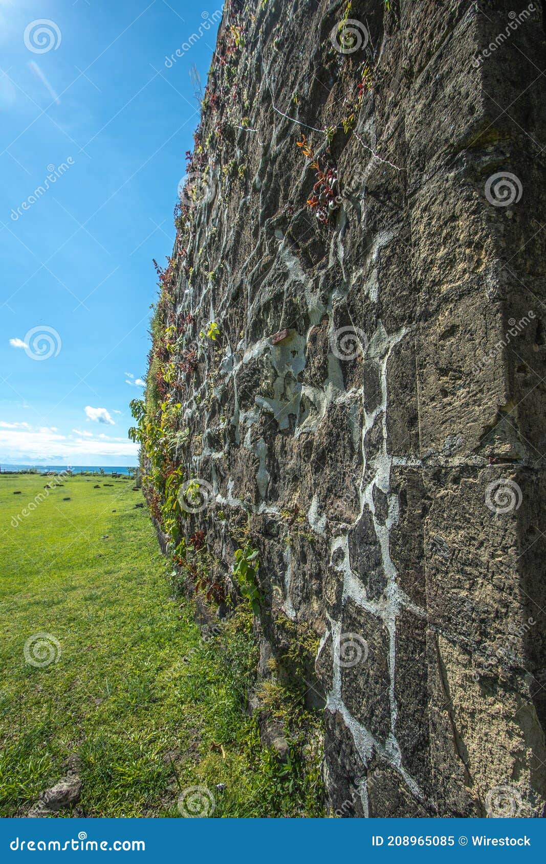 Vertical Side View of a Stone Wall in a Meadow Stock Image - Image of ...
