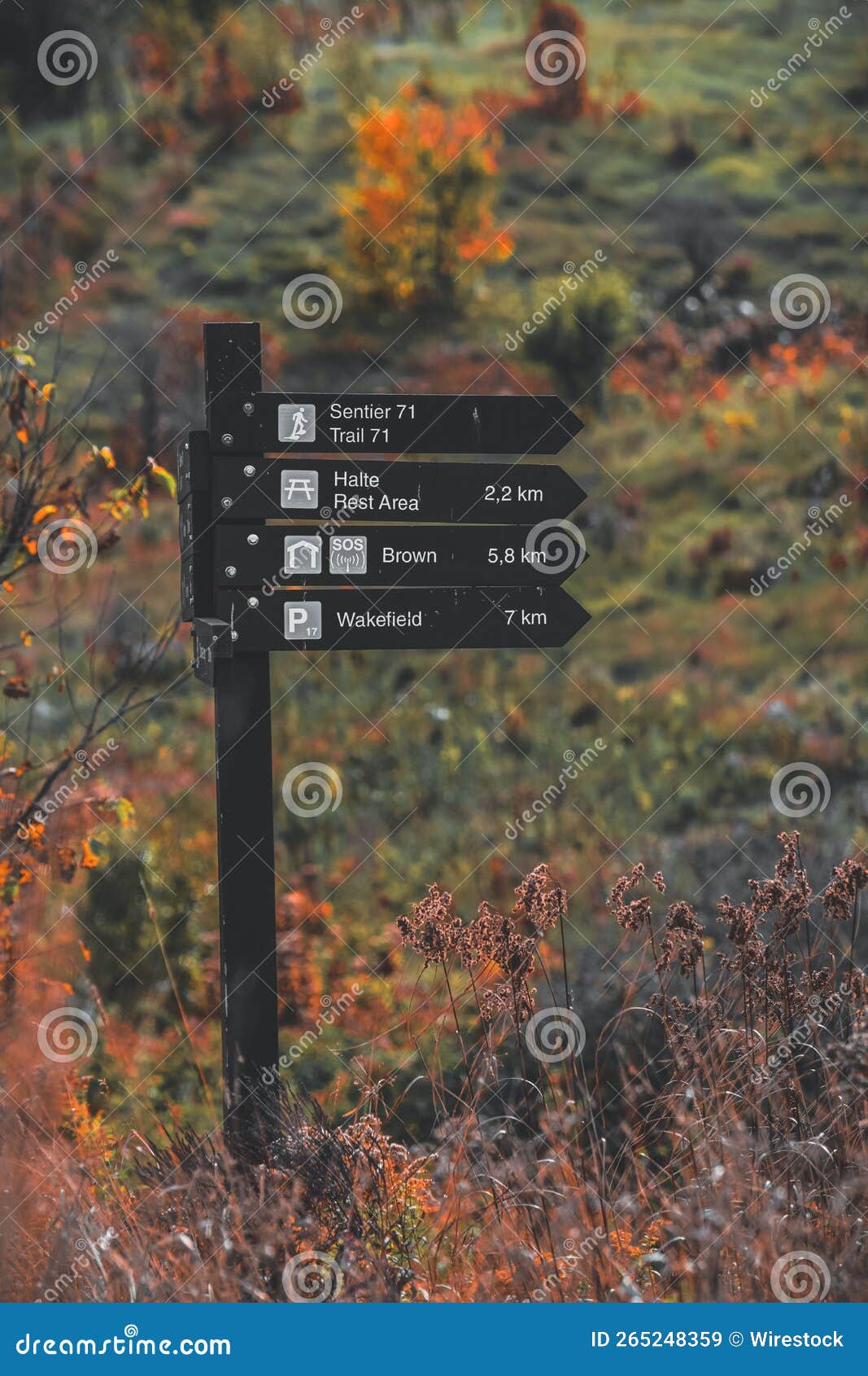 Vertical of a Sign Post with Distances and Locations in a Hiking Trail ...