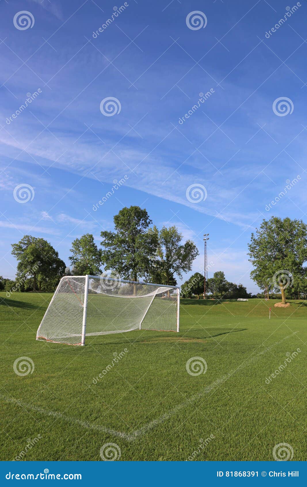 Vertical Soccer Field stock image. Image of summer, morning - 81868391