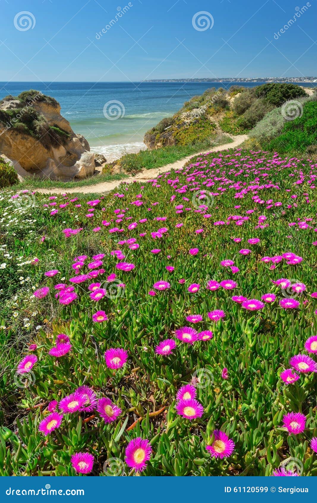 Vertical Spring Landscape Beach Gale. Portugal . Stock Image - Image of ...