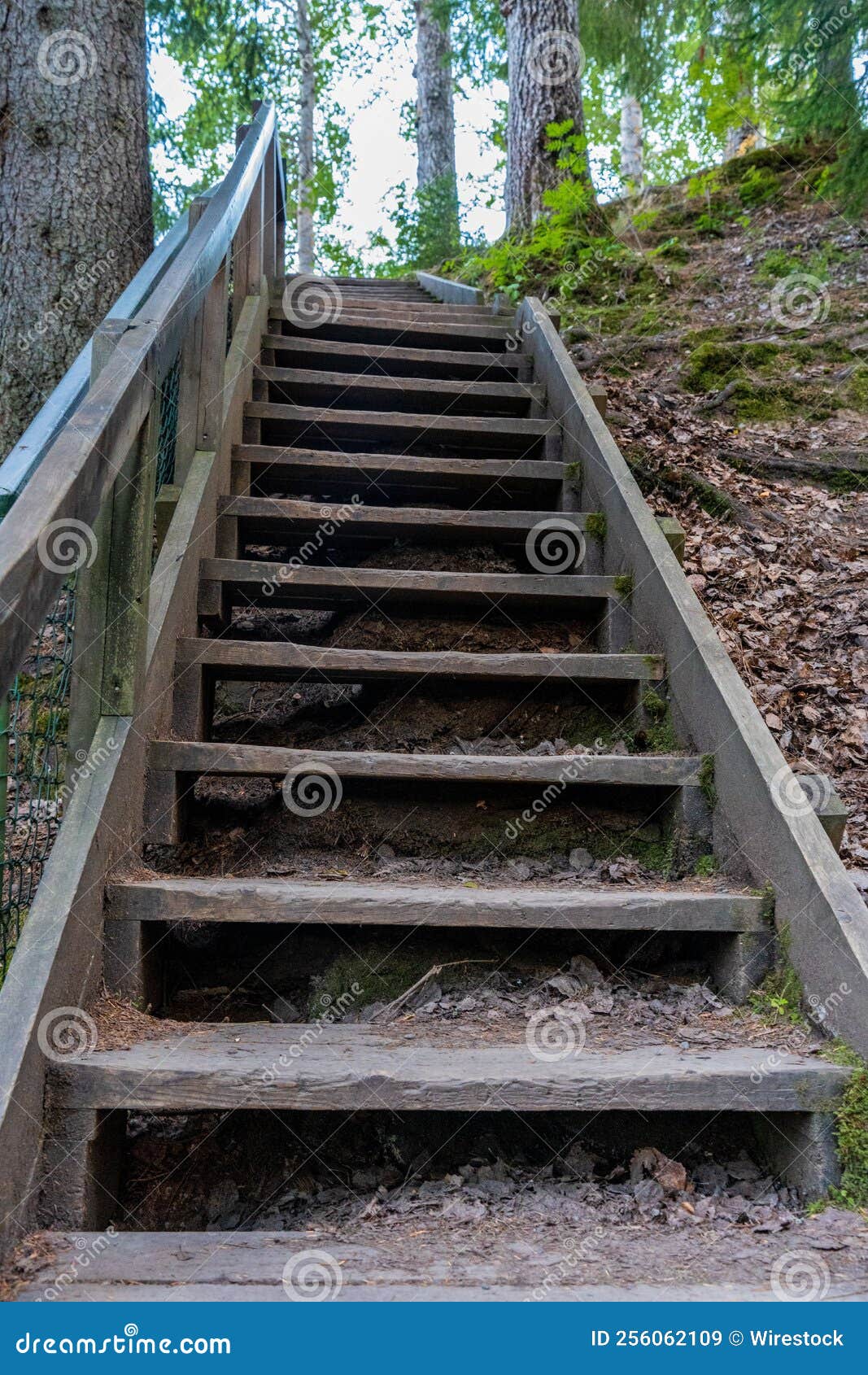 Vertical of the Stairs through the Forest. Stock Image - Image of hike ...
