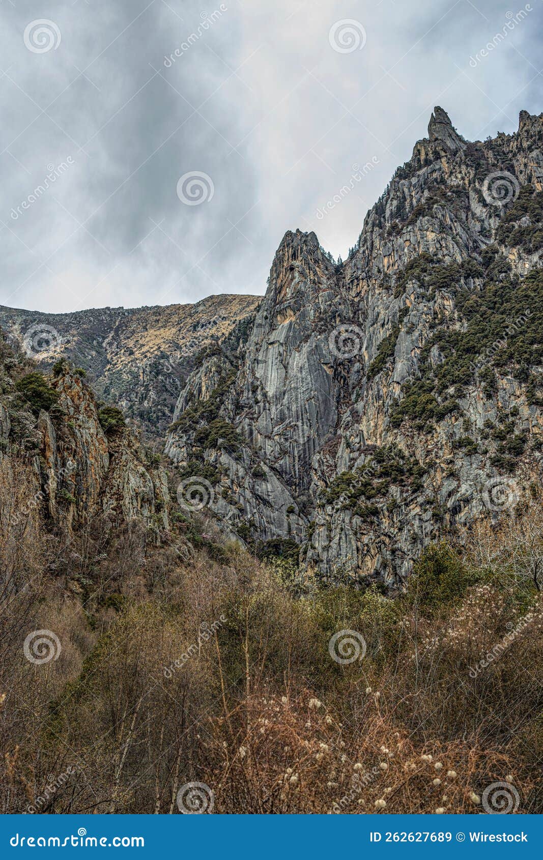 Vertical of a Steep Rocky Peak with Dried Trees in Tibet Stock Image ...