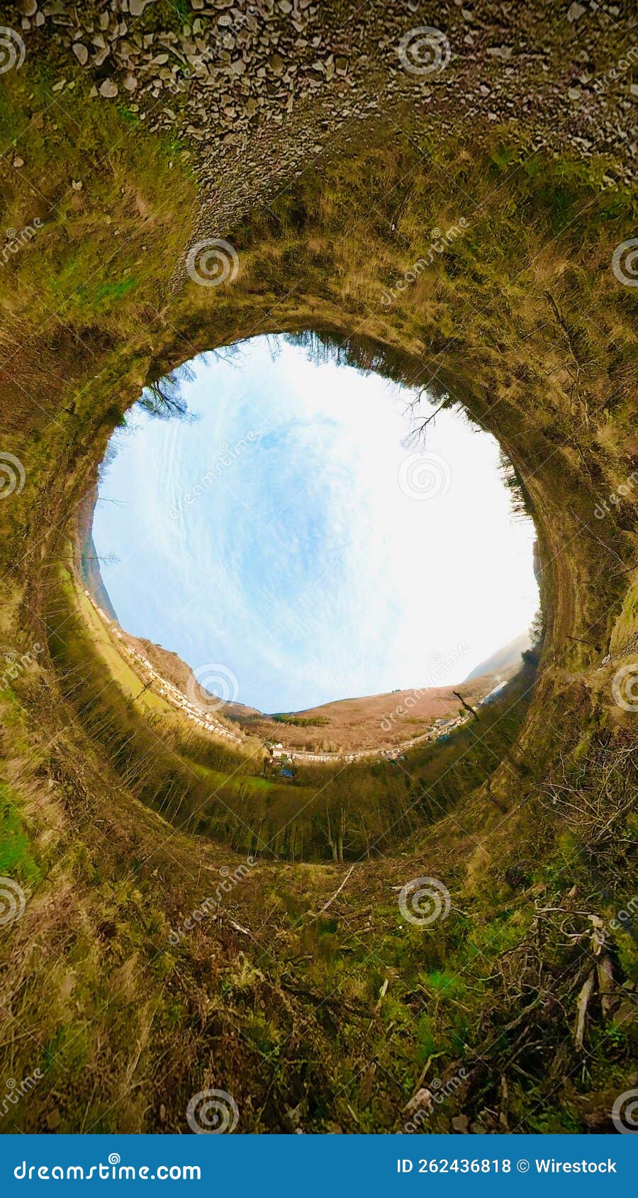 Vertical Stereographic Panoramic Projection of a Green Field with Trees ...