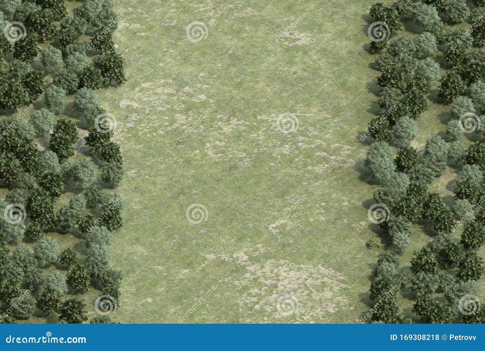 Vertical Strip Steppe in Forest Stock Photo - Image of trees, summer ...