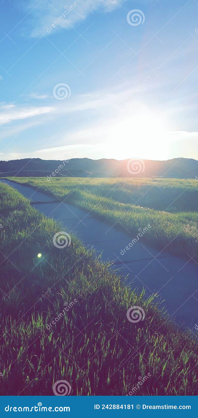 Vertical sunrise midwest stock image. Image of nature - 242884181