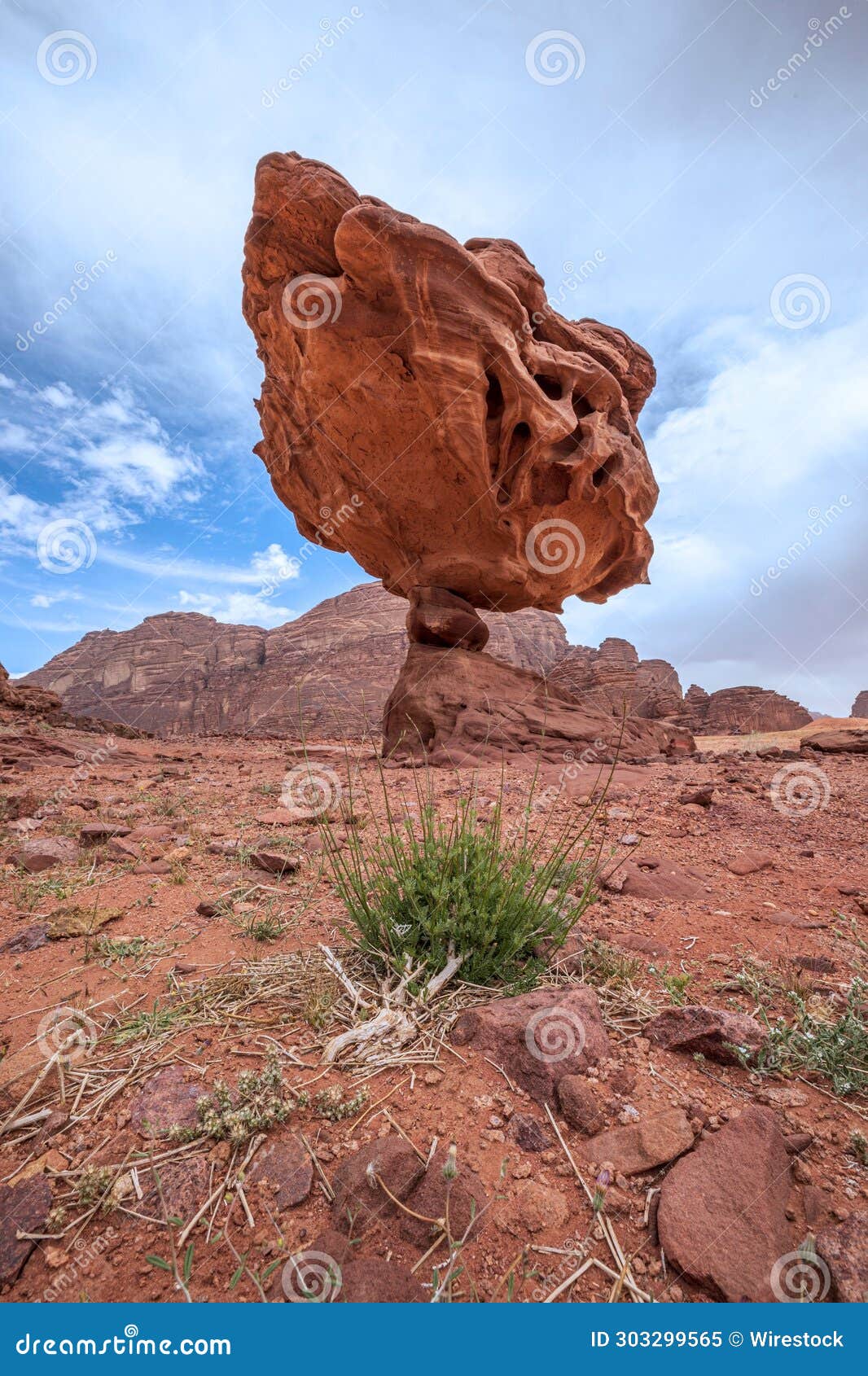 Vertical of the Tabuk Region, NEOM Stock Image - Image of tourism ...