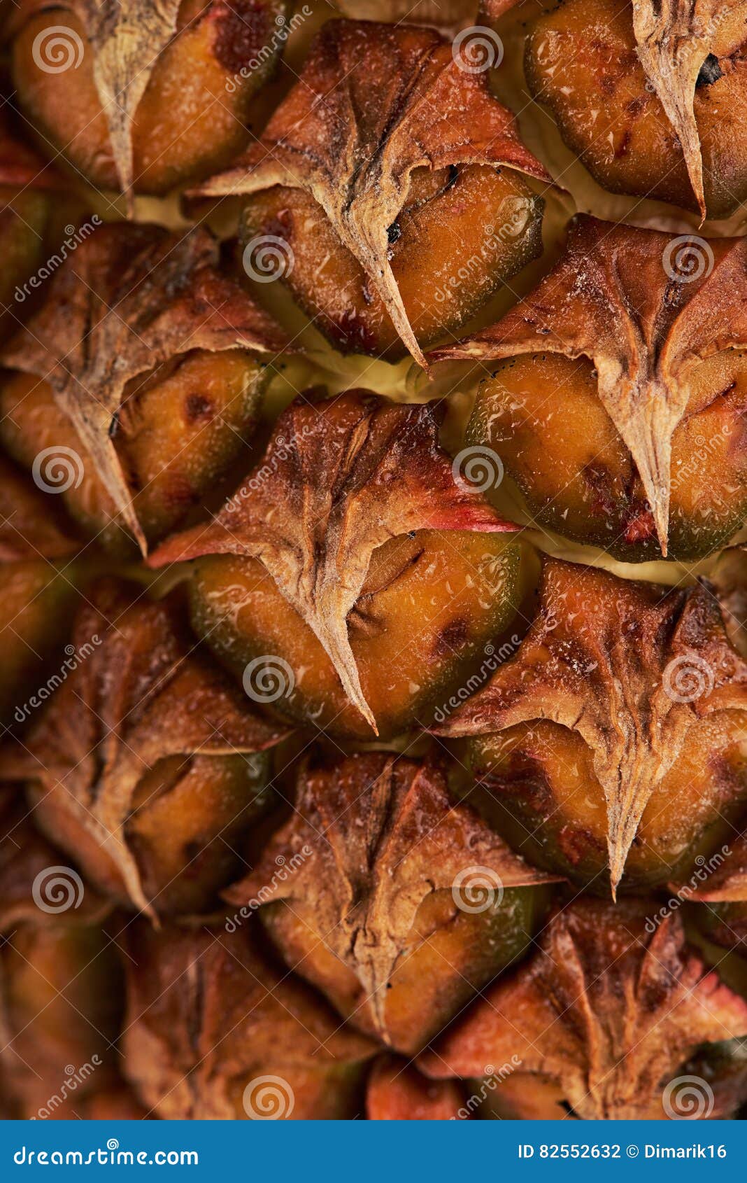 Vertical Texture Pineapple Skin Stock Photo | CartoonDealer.com #82552632