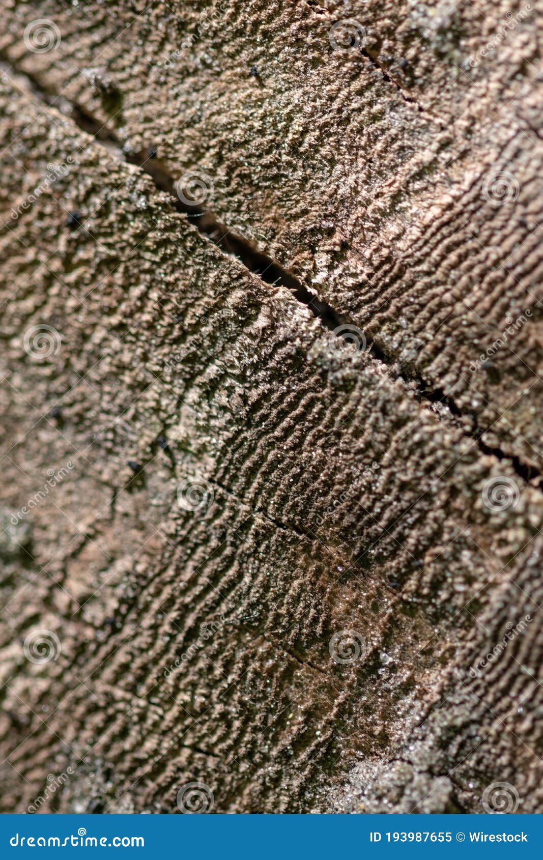 Vertical Texture of the Wall with a Rough Surface Stock Image - Image ...