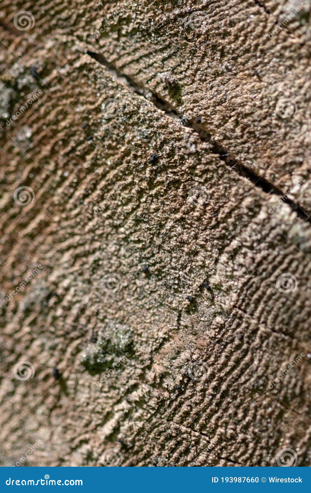 Vertical Texture of the Wall with a Rough Surface Stock Photo - Image ...