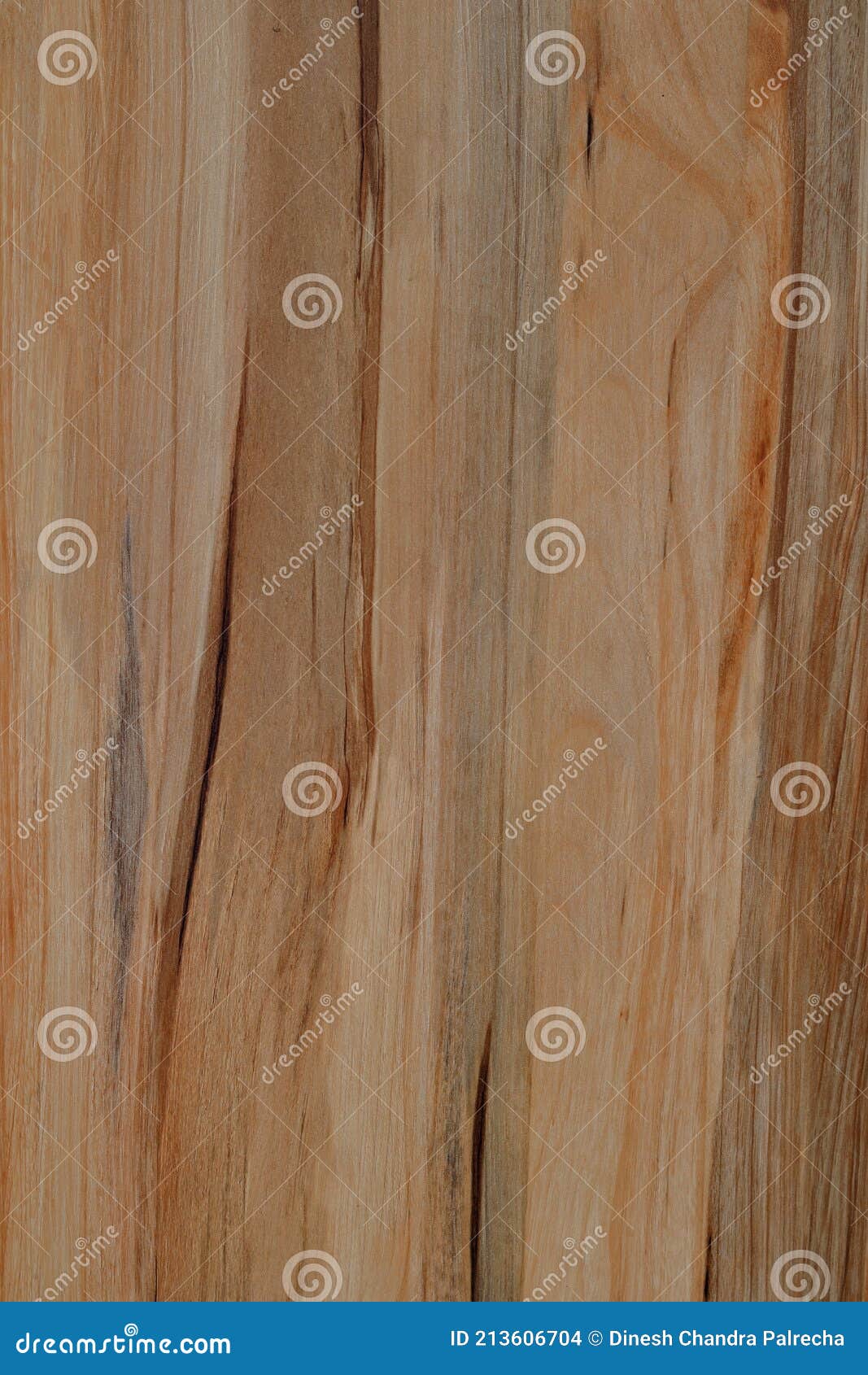 Vertical Texture Wood Background Abstract Pattern Stock Photo - Image ...