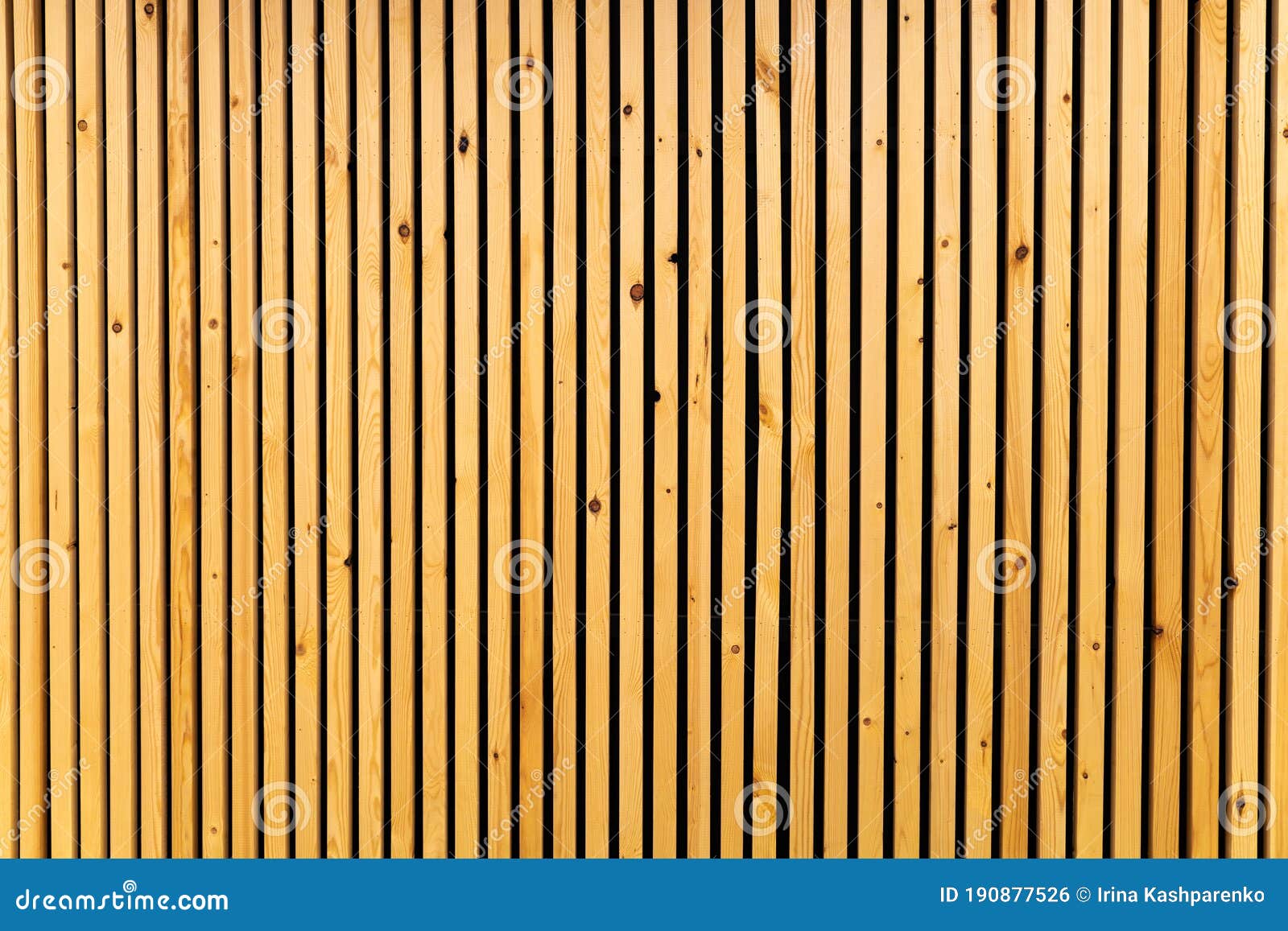 Vertical Thin Wooden Slats on Wall in Modern Interior. Natural Brown ...