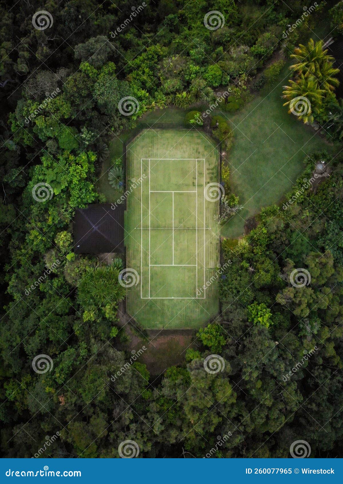 Vertical Top Shot of a Stadium Surrounded by Trees and Greenery Stock ...