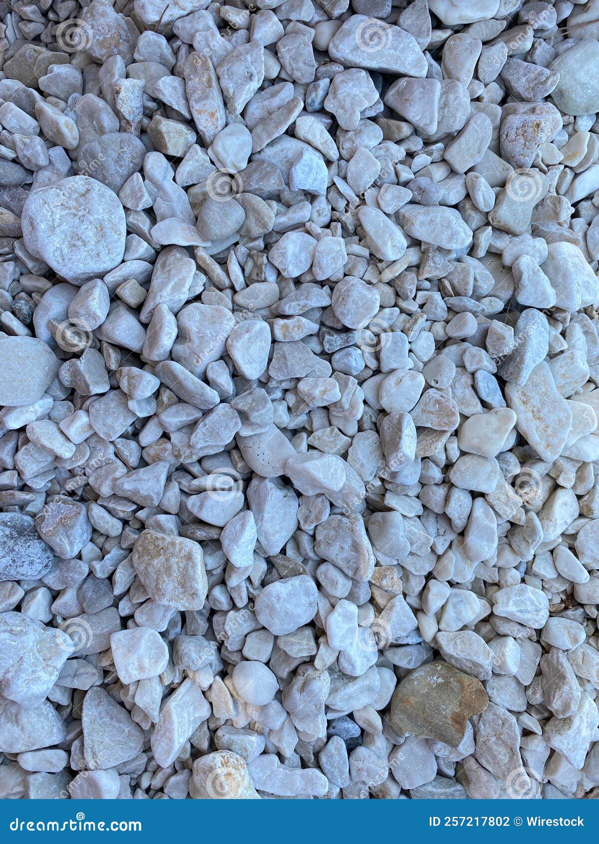Vertical Top View of Beautiful White Pebbles of Different Shapes and ...