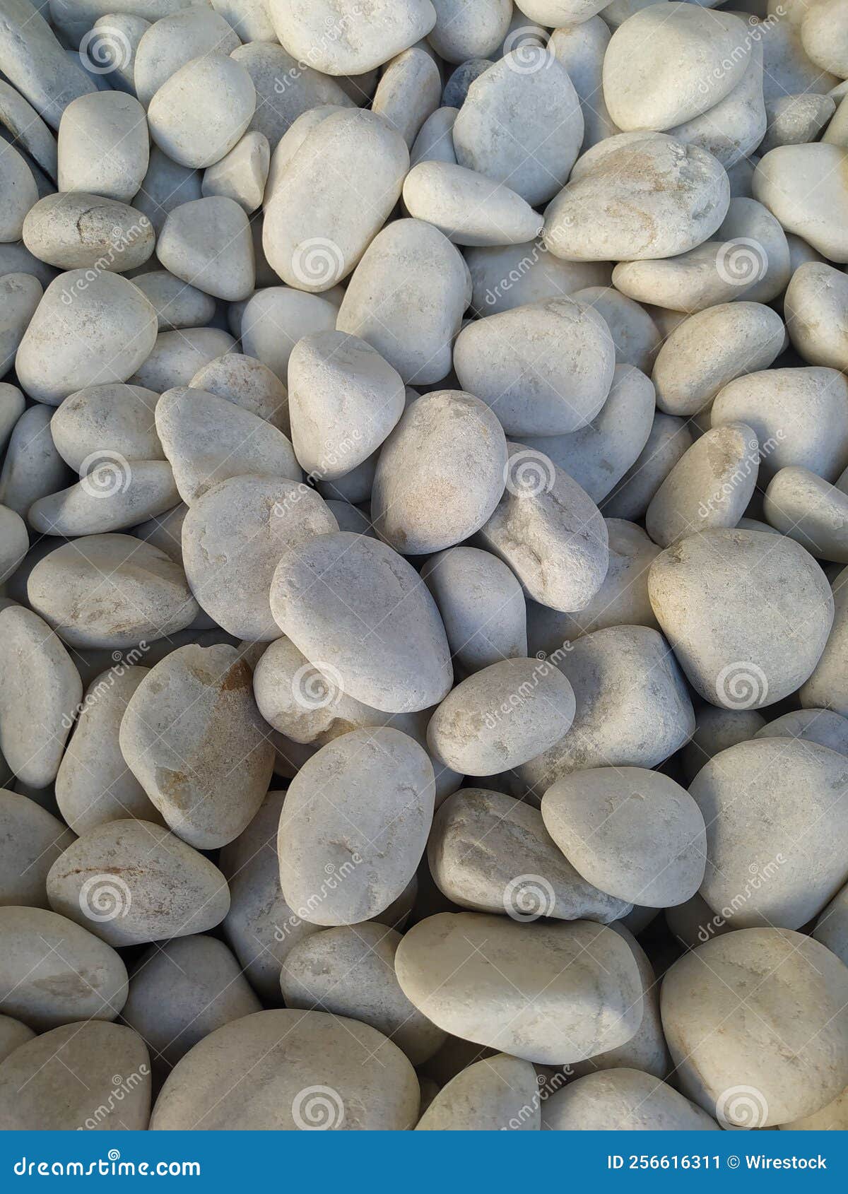 Vertical Top View of a Collection of White Rocks Placed on Some Surface ...