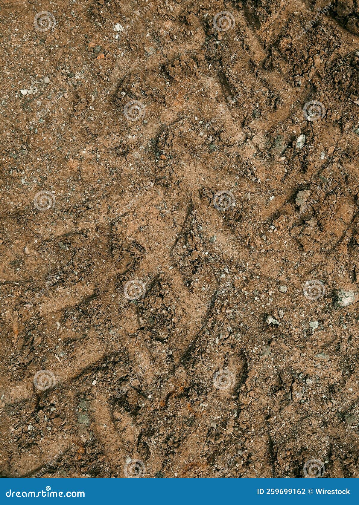 Vertical Top View of Sandy Ground with Pebbles Stock Photo - Image of ...