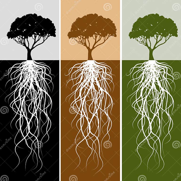 Vertical Tree Root Banner Set Stock Vector - Illustration of trees ...