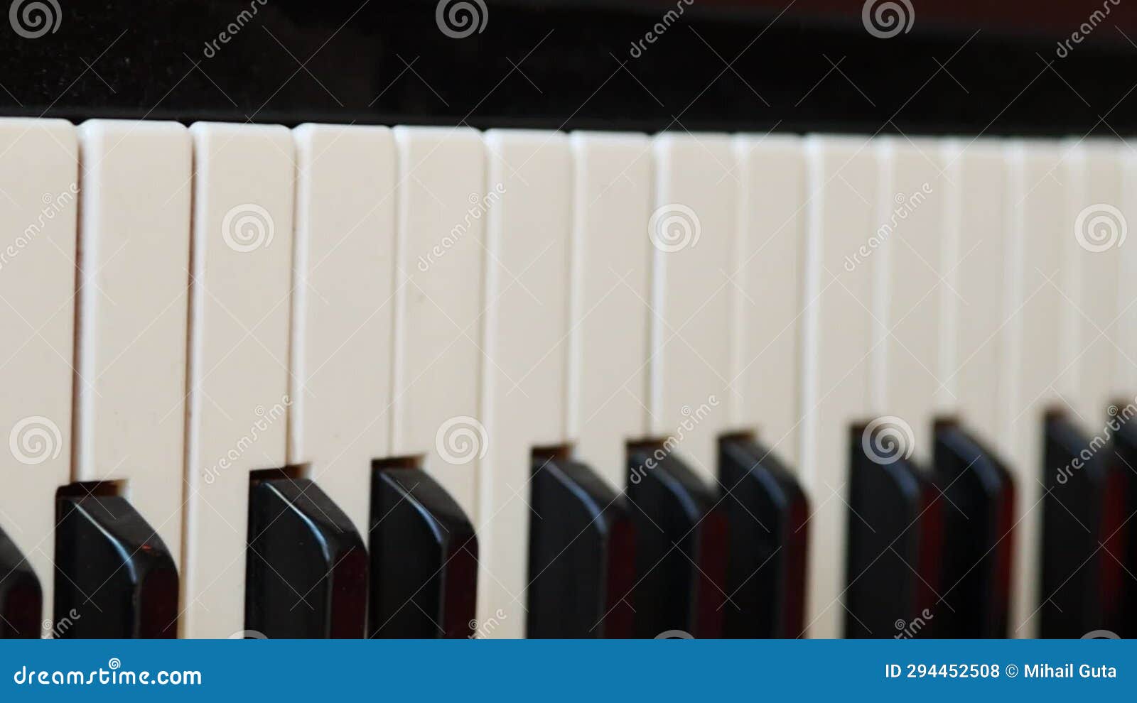 Vertical Video, Smooth Camera Movement, Selective Focus, Close-up of ...