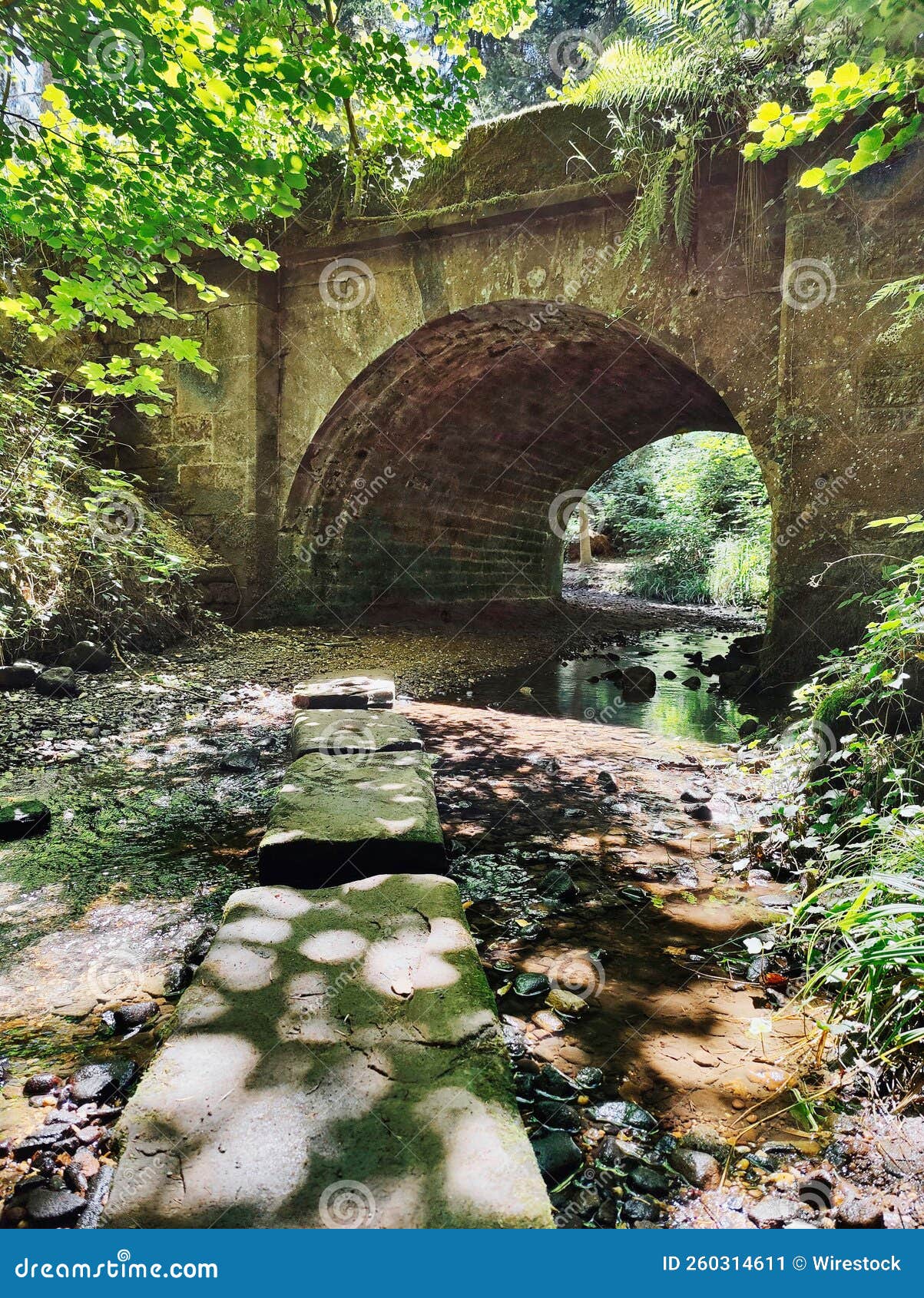 Vertical View of a Bridge Surrounded with Trees and with a Stream ...