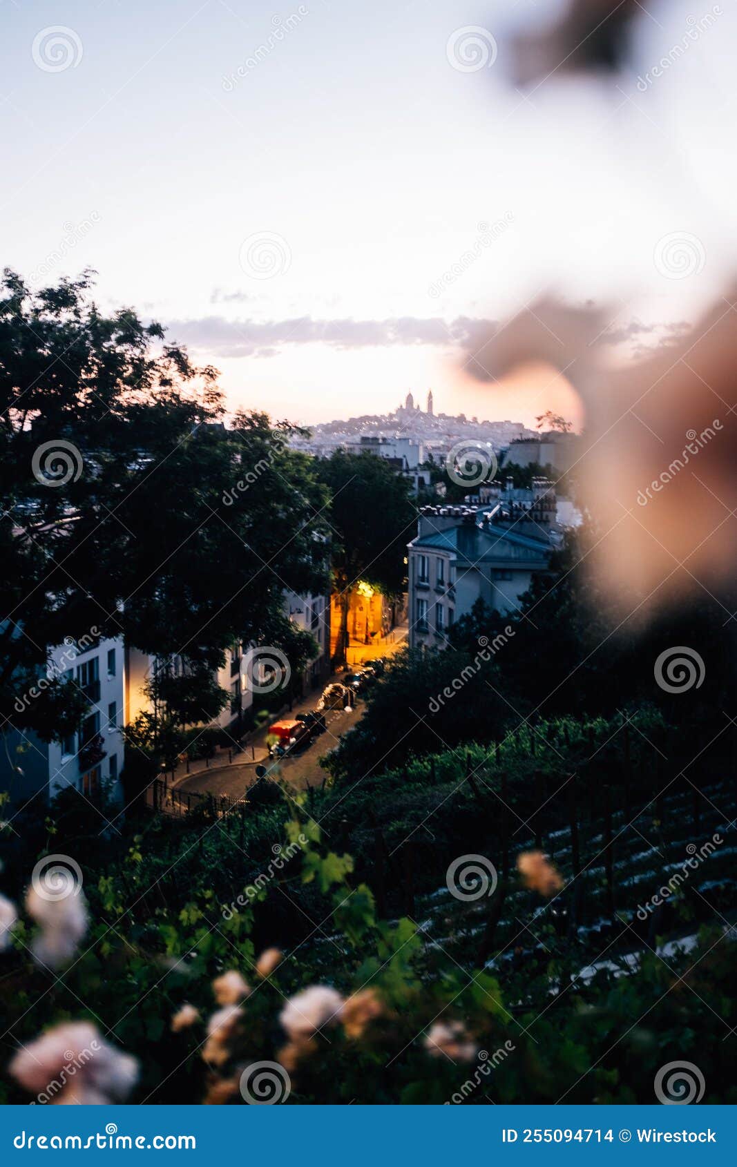 Vertical View of the City from the Garden in the Evening. Stock Photo ...