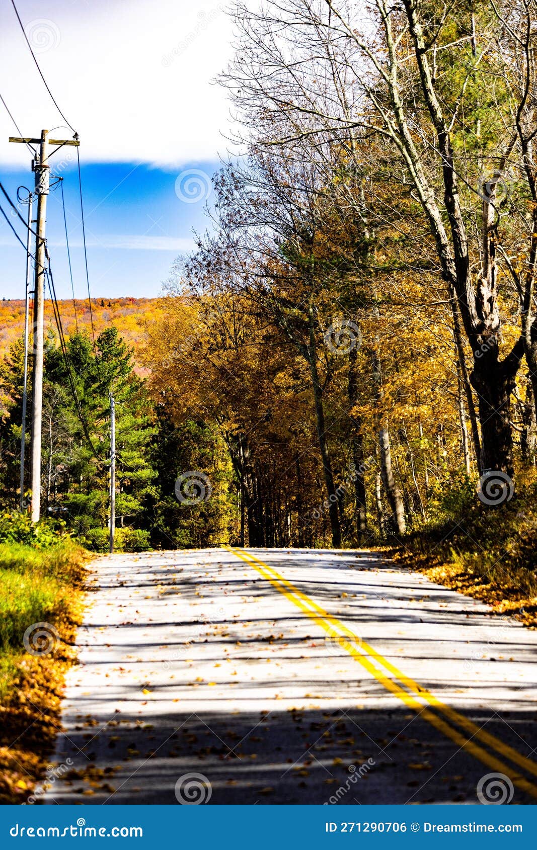 Vertical View of an Empty Stretch of Asphalt Winding through a Rural ...
