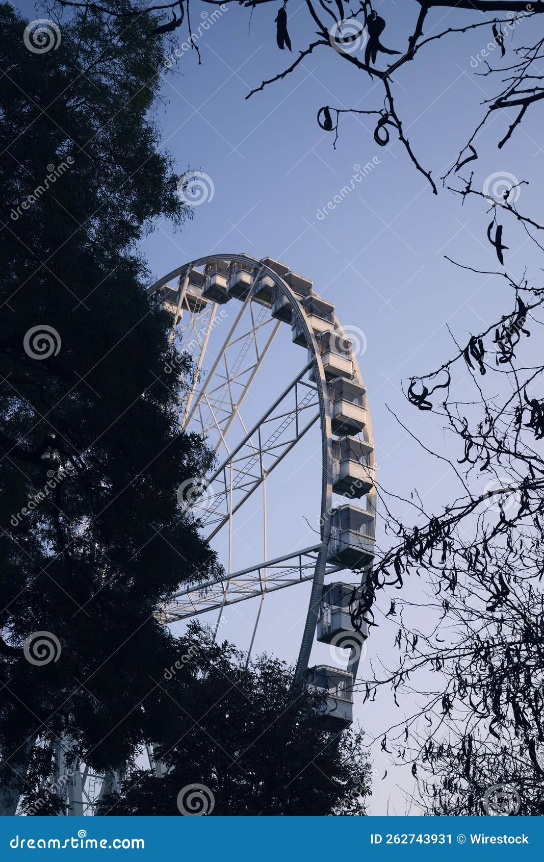 Vertical View of the Ferris Wheel and Tree Branches before the Blue Sky ...