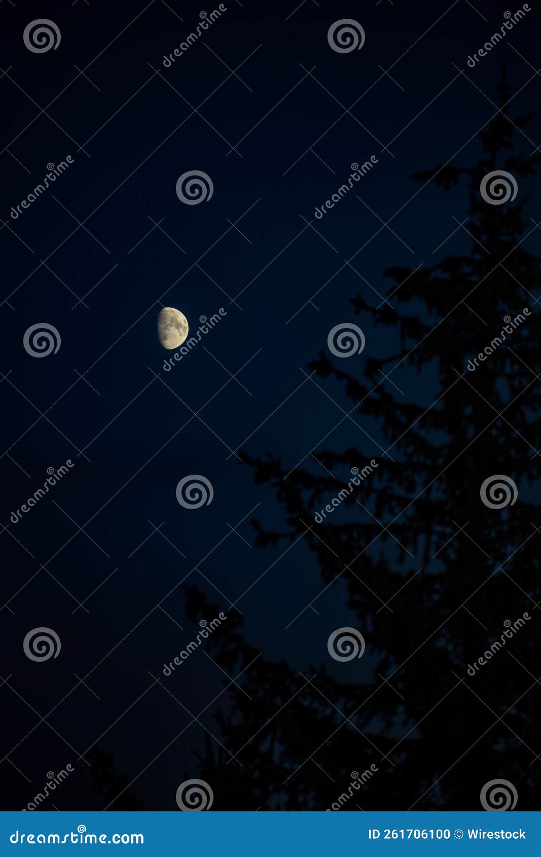 Vertical View of a Half Moon at Night Stock Photo - Image of dark ...