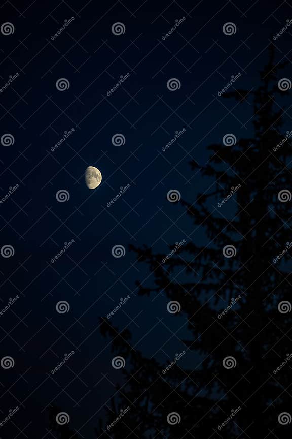 Vertical View of a Half Moon at Night Stock Photo - Image of dark ...